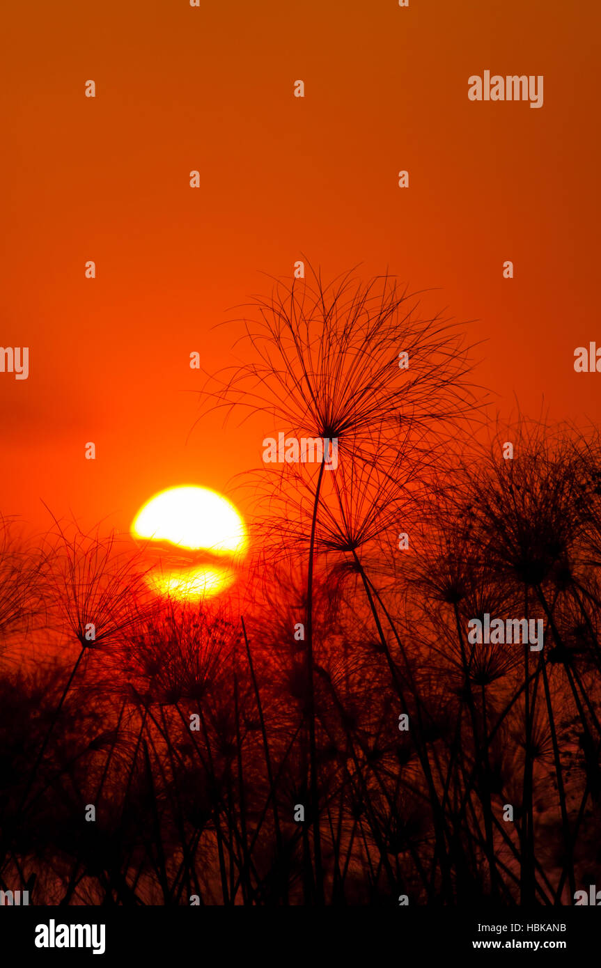 Silhouette shapes and colour at sunset hi-res stock photography and ...