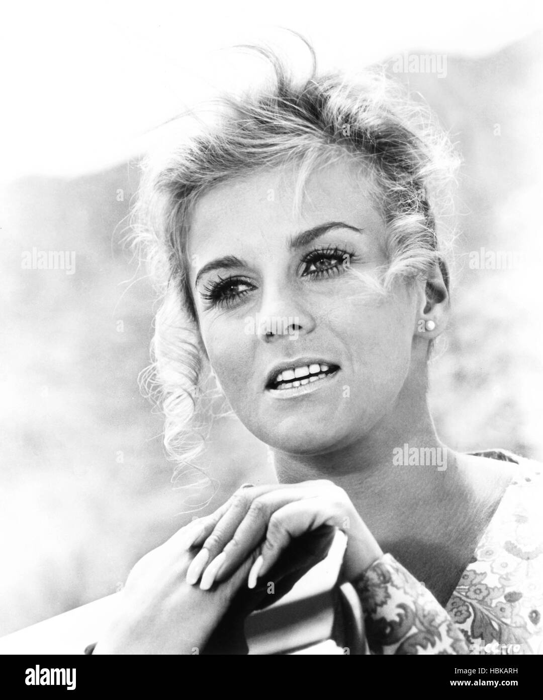 C.C. AND COMPANY, Ann-Margret, 1970 Stock Photo - Alamy C.C. AND COMPANY, Ann-Margret, 1970 Stock Photo - Alamy