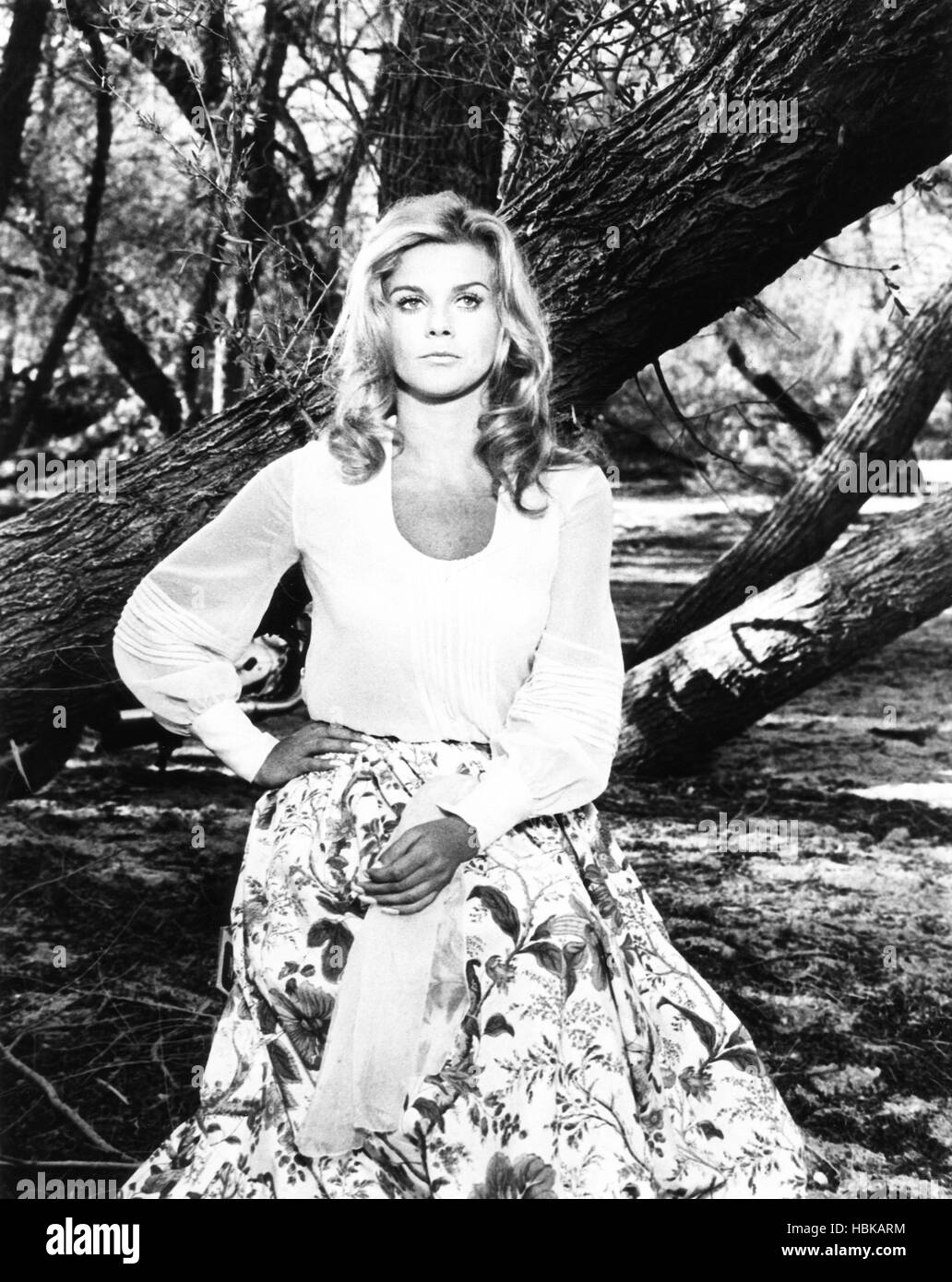 C.C. AND COMPANY, Ann-Margret, 1970 Stock Photo - Alamy