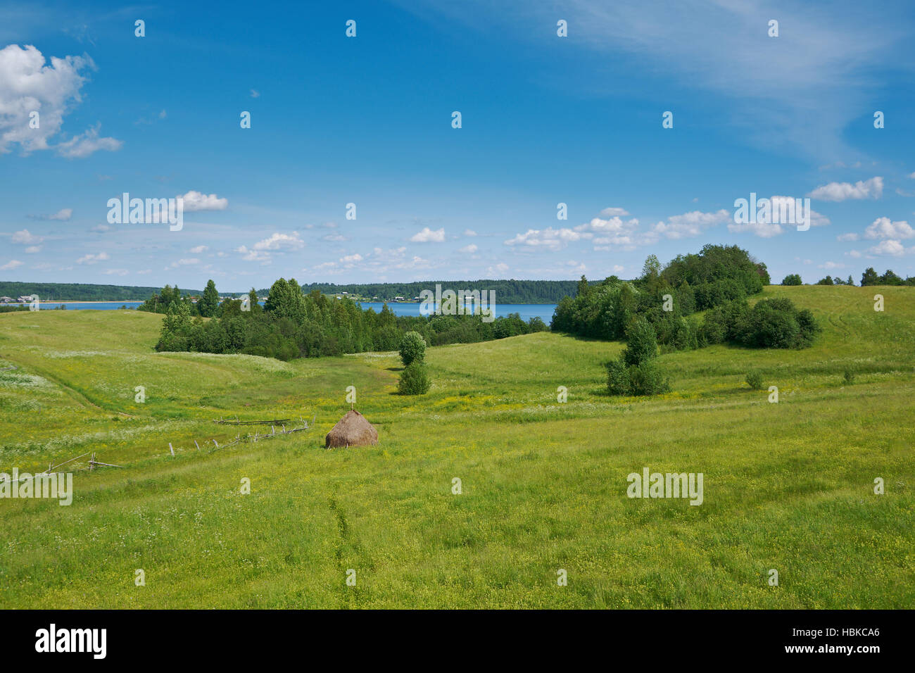 Russian summer meadow Stock Photo - Alamy