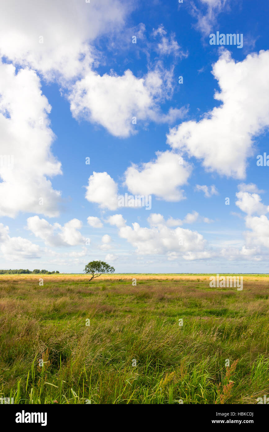 Slowinski nationalpark hi-res stock photography and images - Alamy