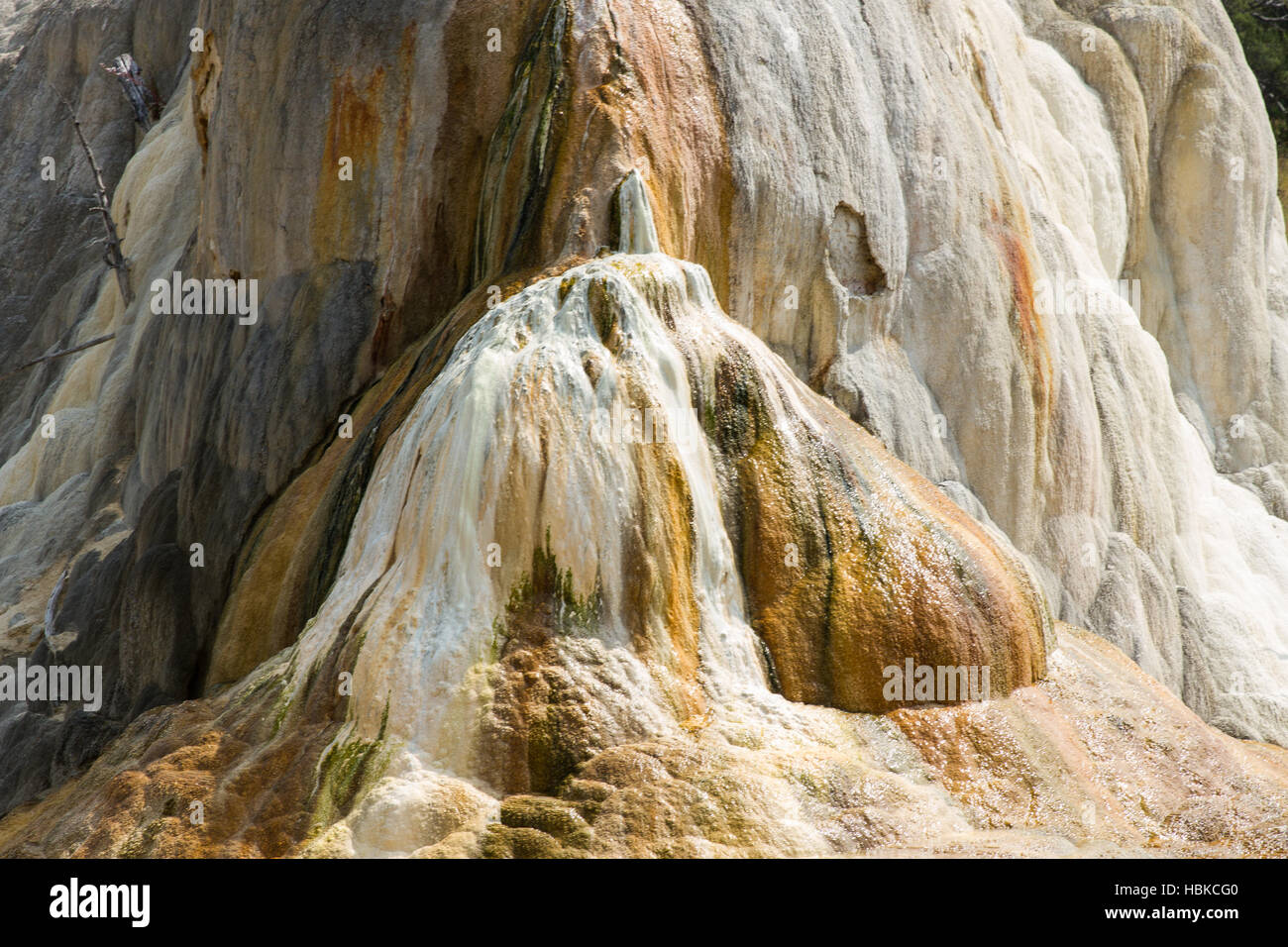 Orange Spring Mound 3 Stock Photo - Alamy