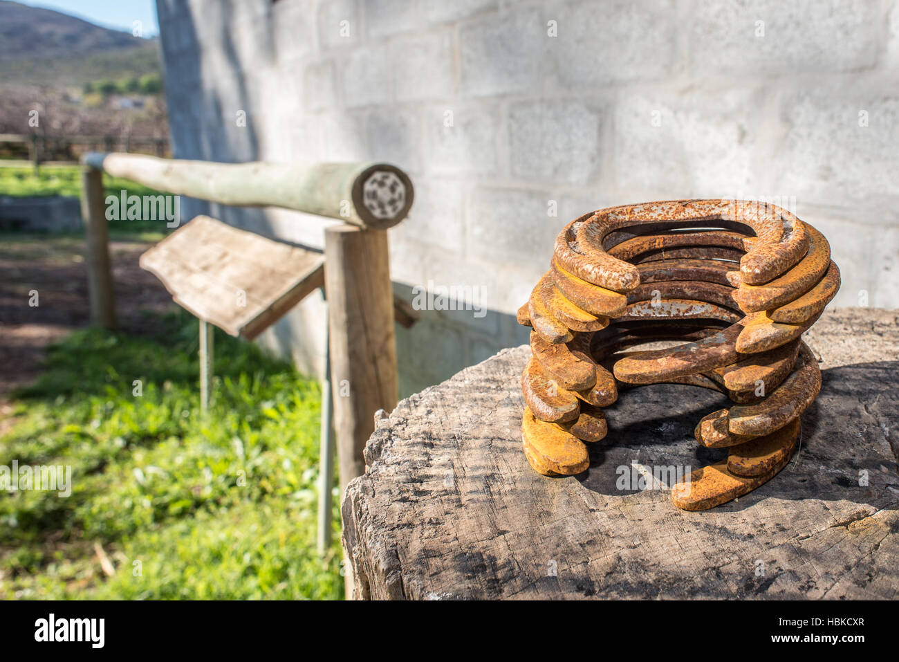 Stack of Horse Shoes on Log Stock Photo - Alamy