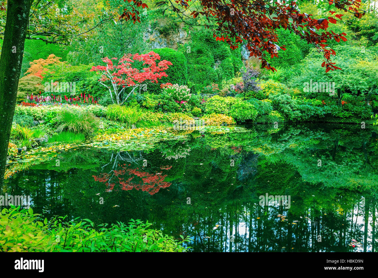 View pond trees in hi-res stock photography and images - Alamy