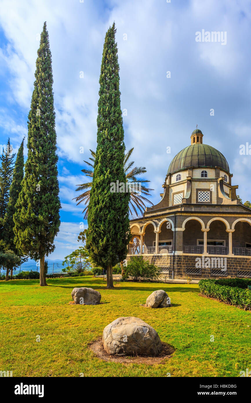 Palm sea of galilee hi-res stock photography and images - Alamy