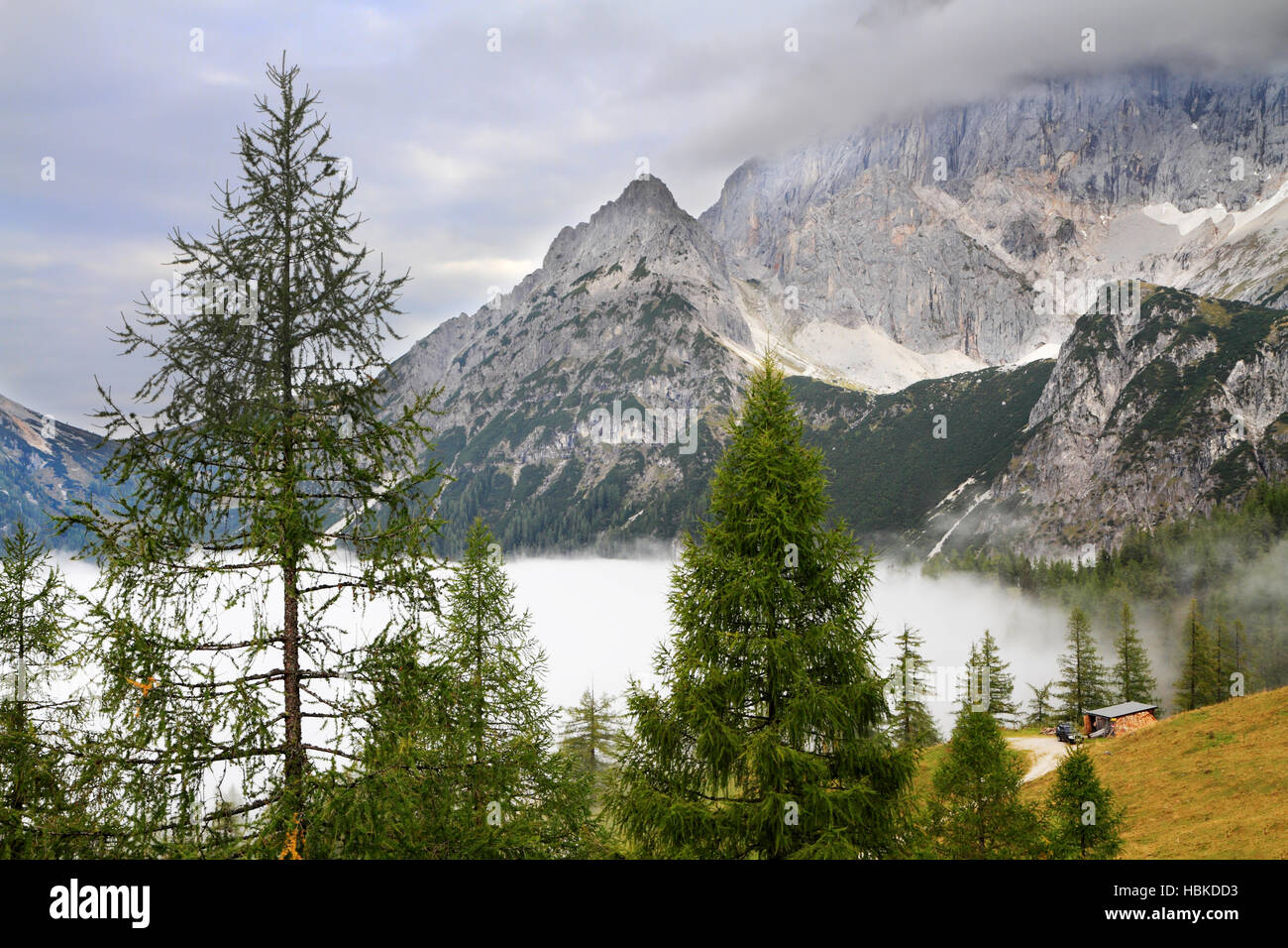 Dense fog hi-res stock photography and images - Alamy