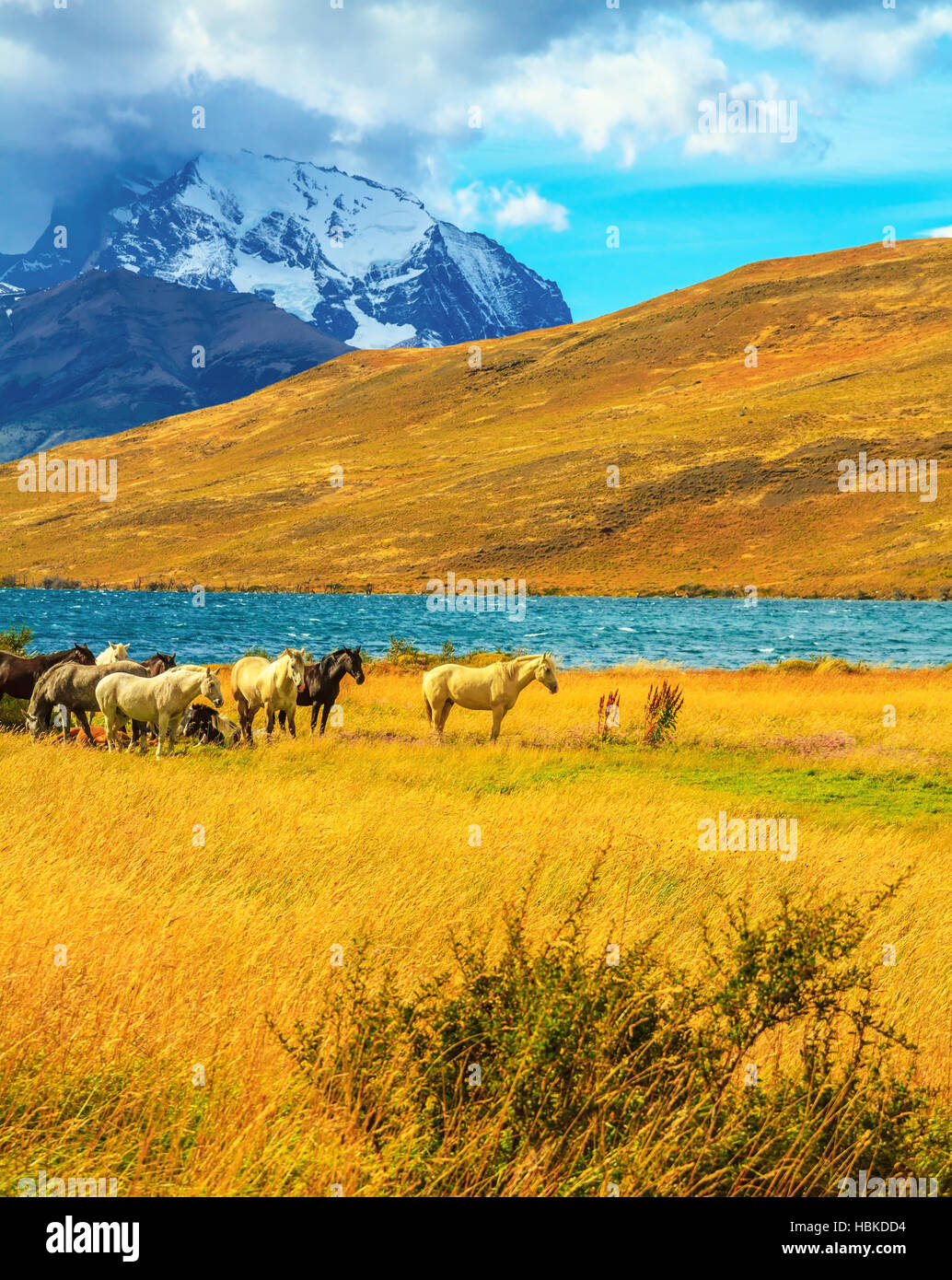 Azu hi-res stock photography and images - Alamy