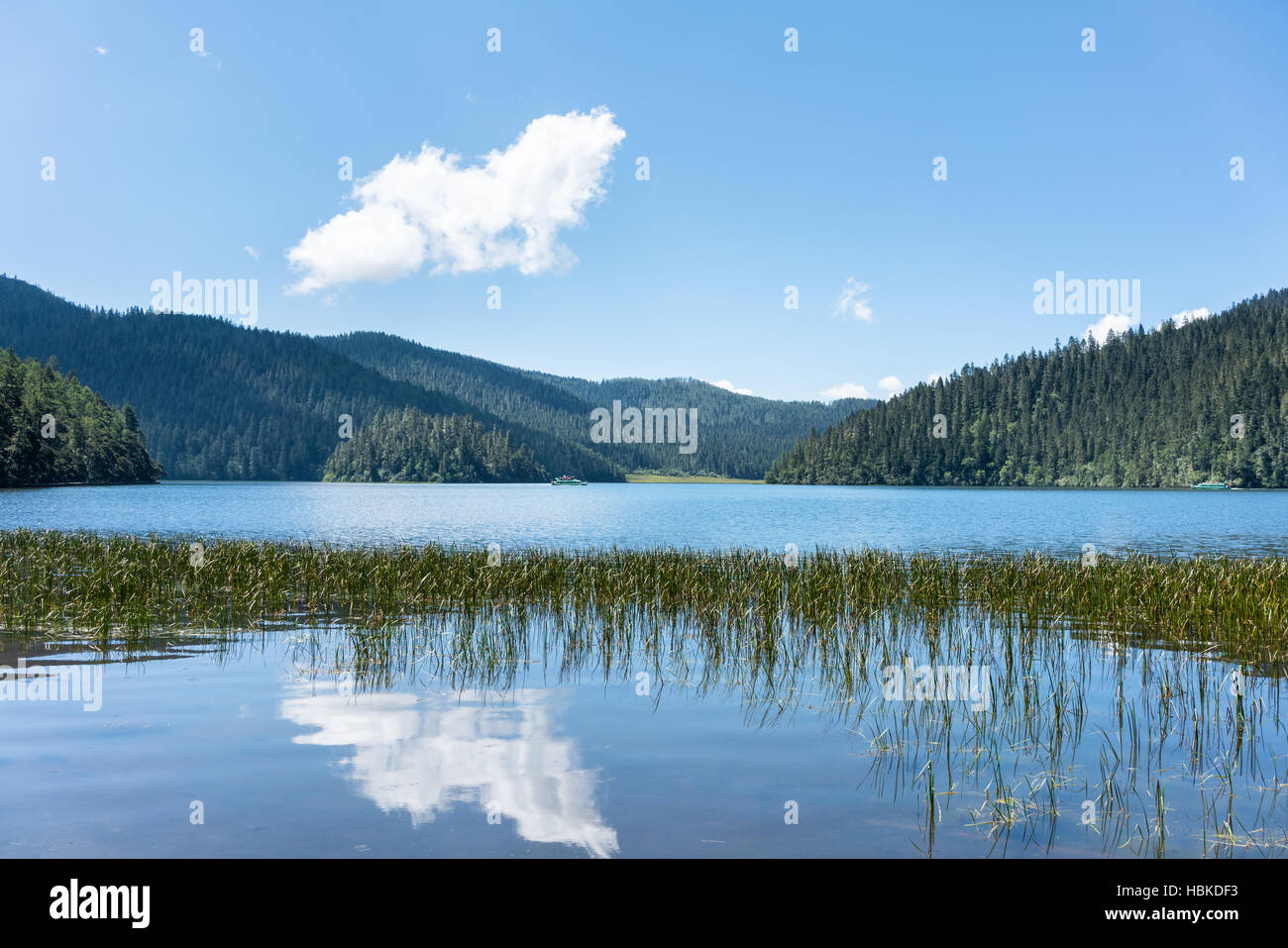 beautiful shudu lake Stock Photo - Alamy