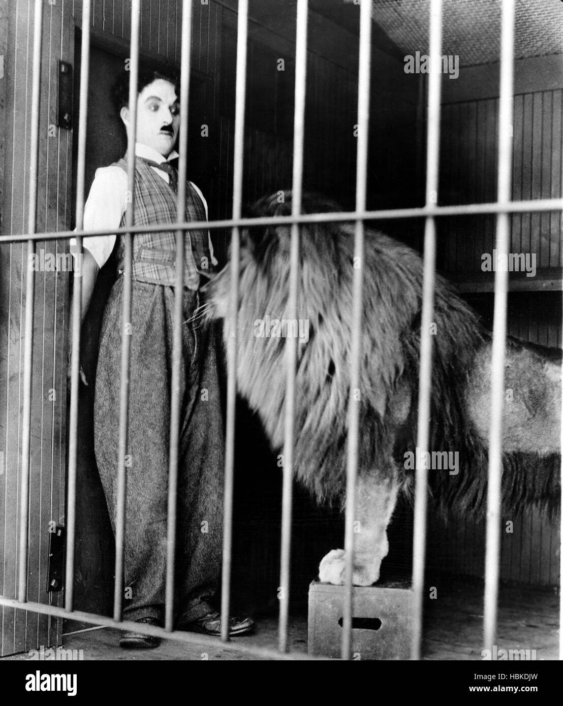 CIRCUS, THE, Charlie Chaplin, 1928 Stock Photo - Alamy