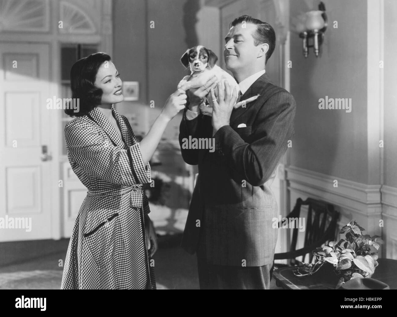 CLOSE TO MY HEART, from left: Gene Tierney, Ray Milland, 1951 Stock ...