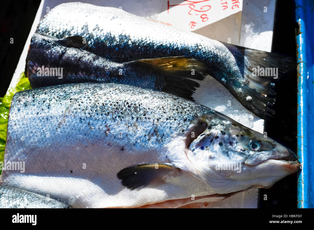 Salmon in market Stock Photo - Alamy