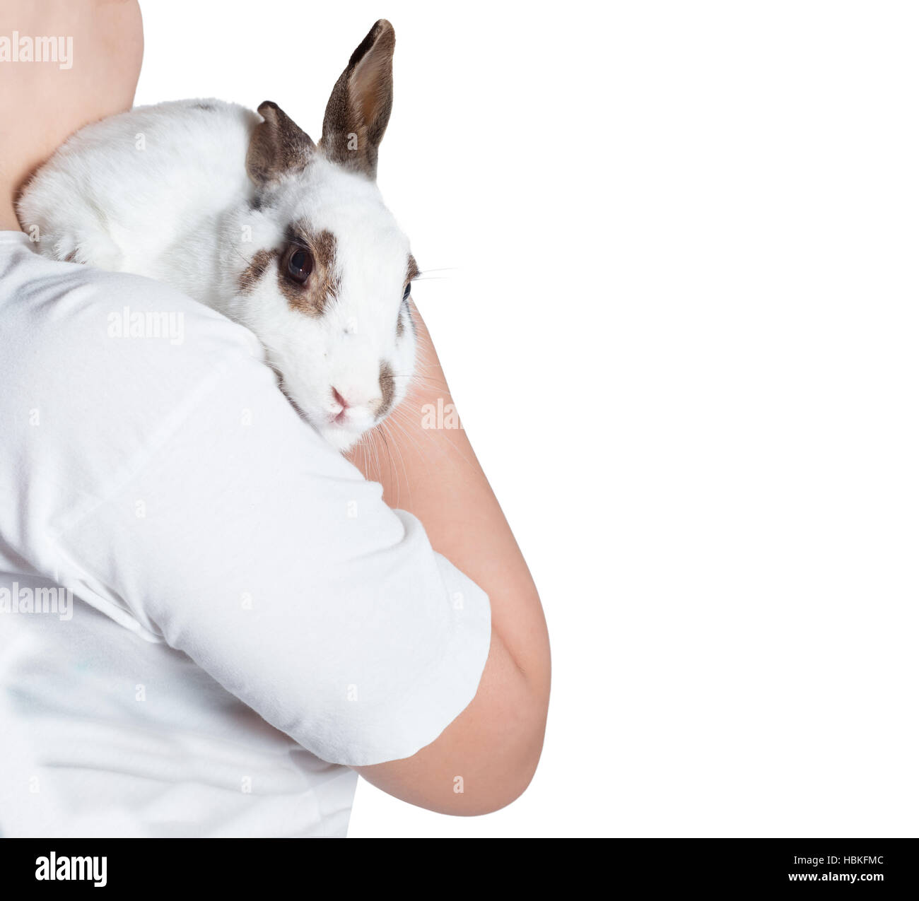 hand hold cute spotted bunny isolated on white background Stock Photo ...