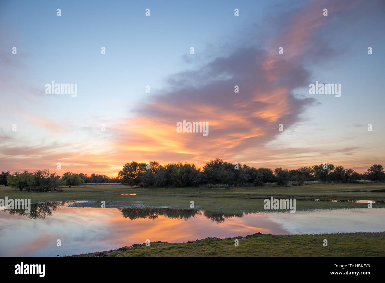 Watery environment hi-res stock photography and images - Alamy
