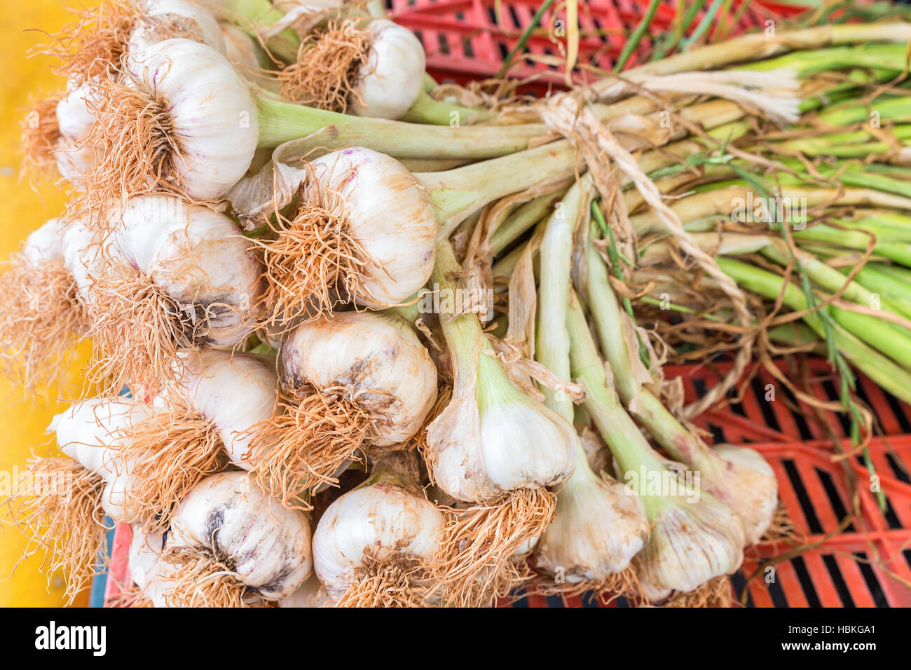 Garlic roots hi-res stock photography and images - Alamy