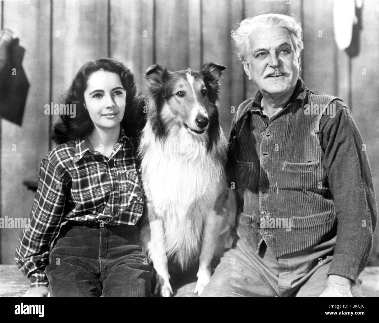 COURAGE OF LASSIE, Elizabeth Taylor, Lassie, Frank Morgan, 1946 Stock ...