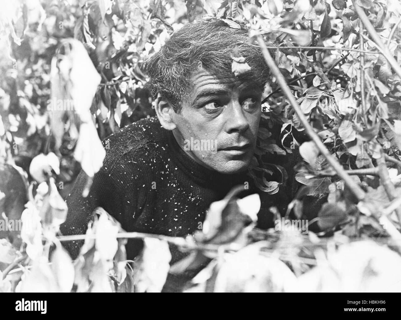 COMMANDOS STRIKE AT DAWN, Paul Muni, 1942 Stock Photo - Alamy