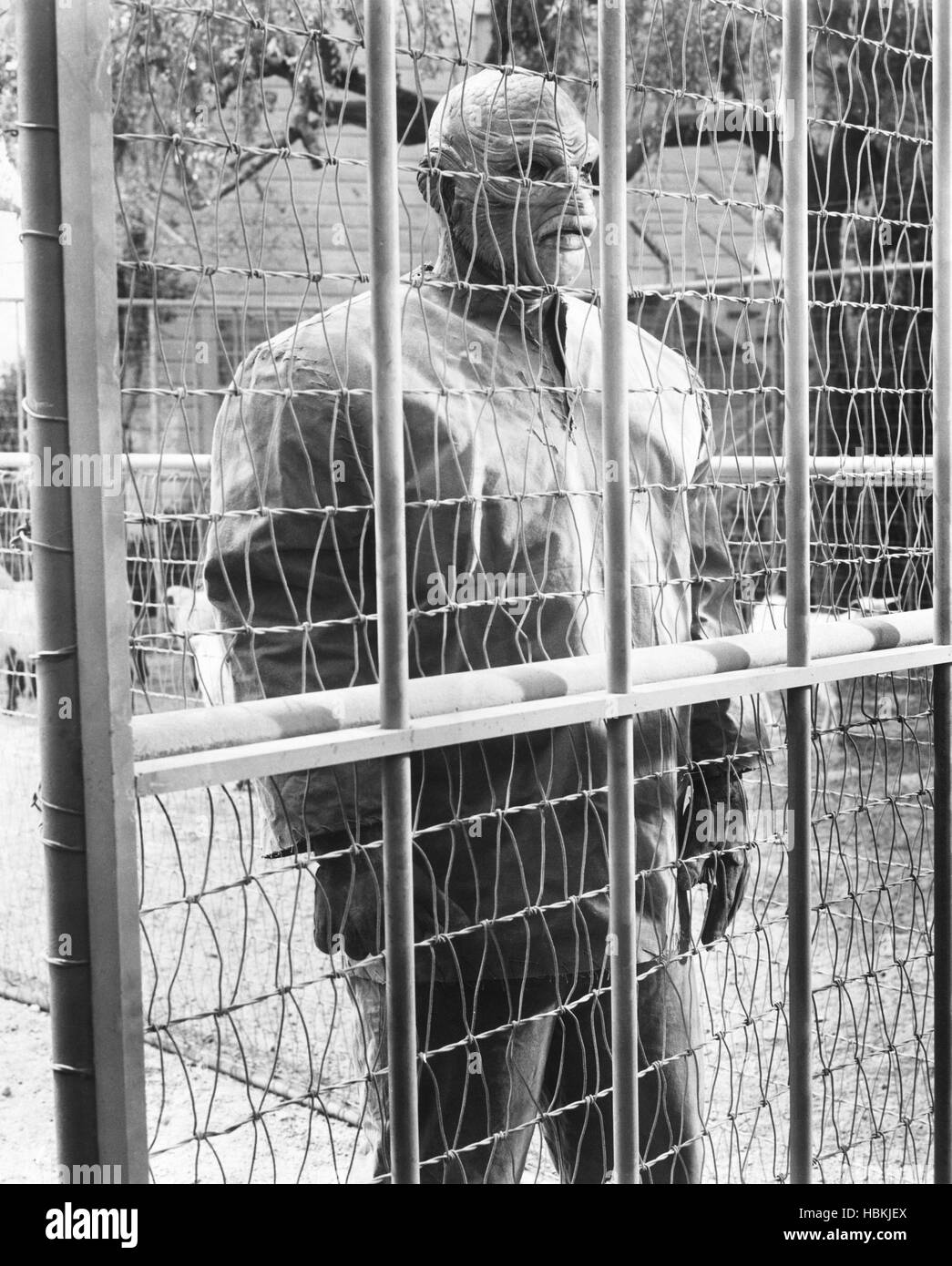 THE CREATURE WALKS AMONG US, Don Megowan, 1956 Stock Photo - Alamy