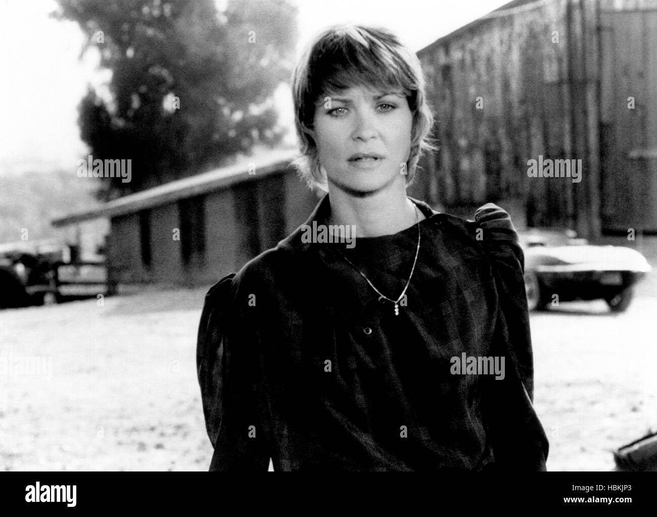 CUJO, Dee Wallace Stone, 1983, ©Warner Brothers/courtesy Everett ...