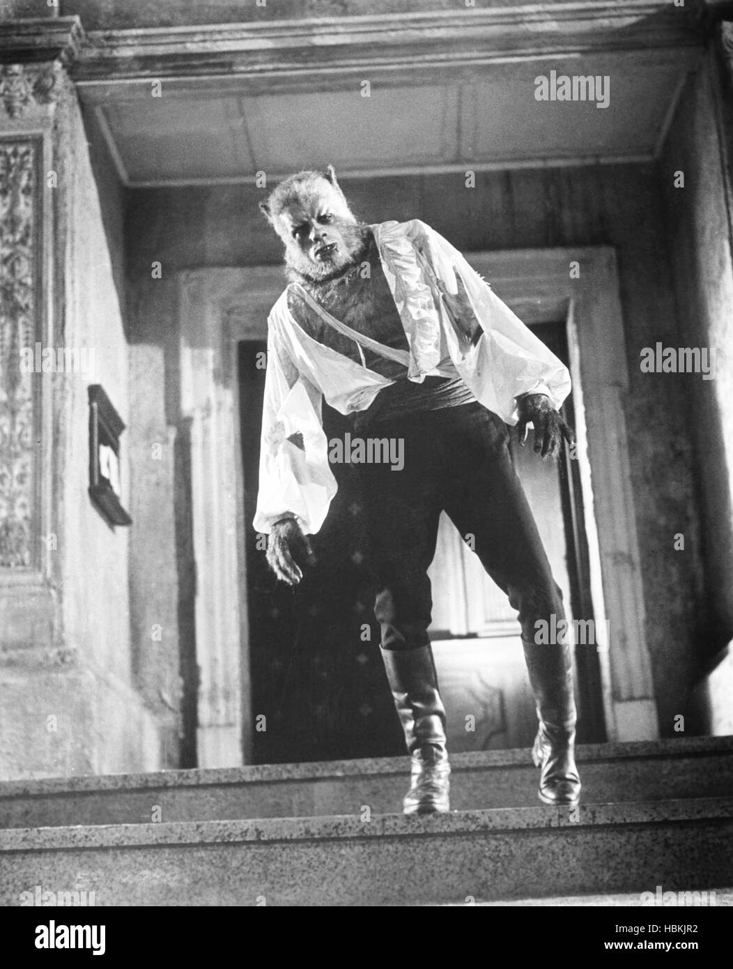 THE CURSE OF THE WEREWOLF, Oliver Reed, 1961 Stock Photo - Alamy