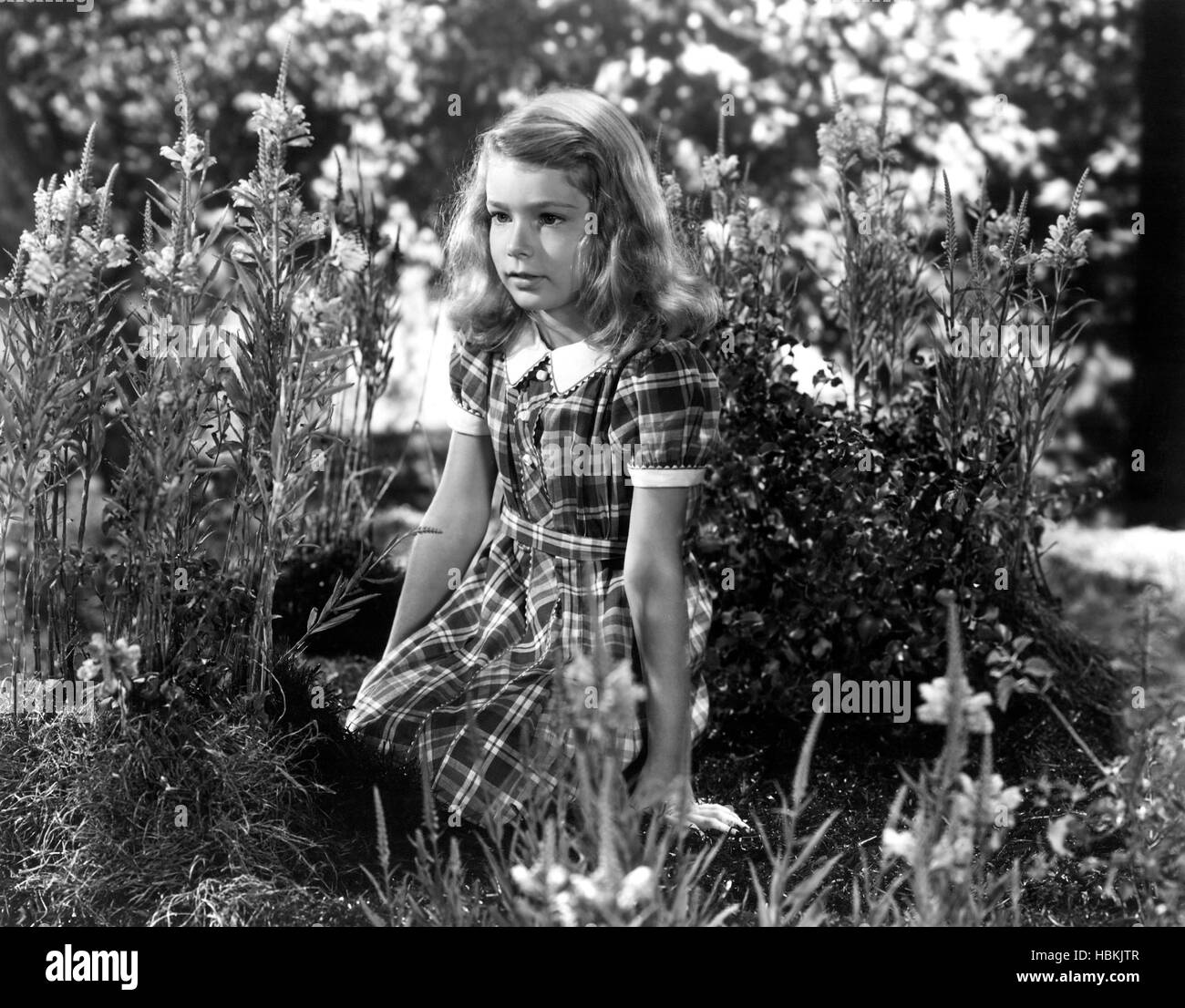 THE CURSE OF THE CAT PEOPLE, Ann Carter, 1944 Stock Photo - Alamy