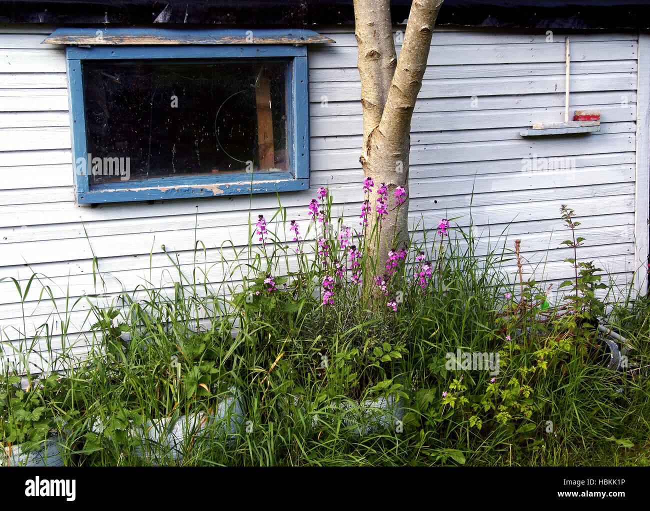 Irish Farm House Stock Photo - Alamy
