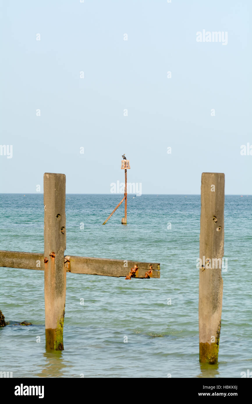 Wooden sea defences that were damaged in 2015 storms and still in need ...