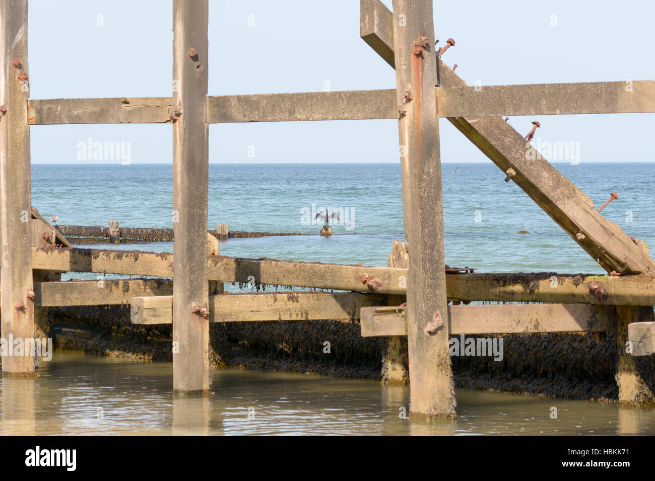 Wooden sea defences that were damaged in 2015 storms and still in need ...