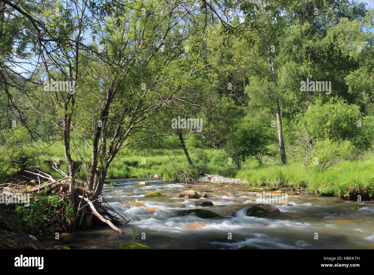 Small River in Summer Stock Photo - Alamy