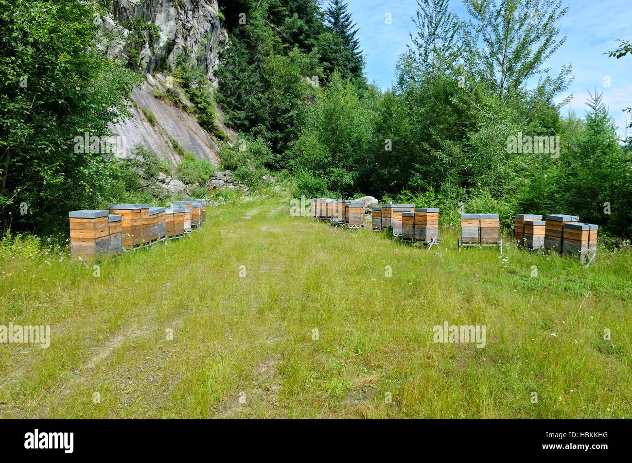 Apiaries hi-res stock photography and images - Alamy