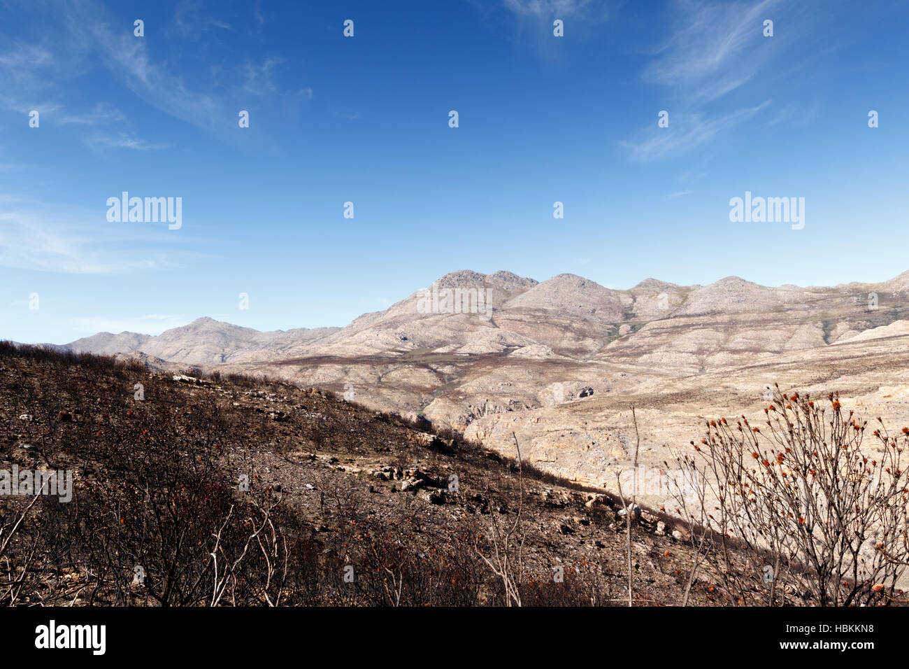 Mountain - Swartberg Nature Reserve Stock Photo - Alamy