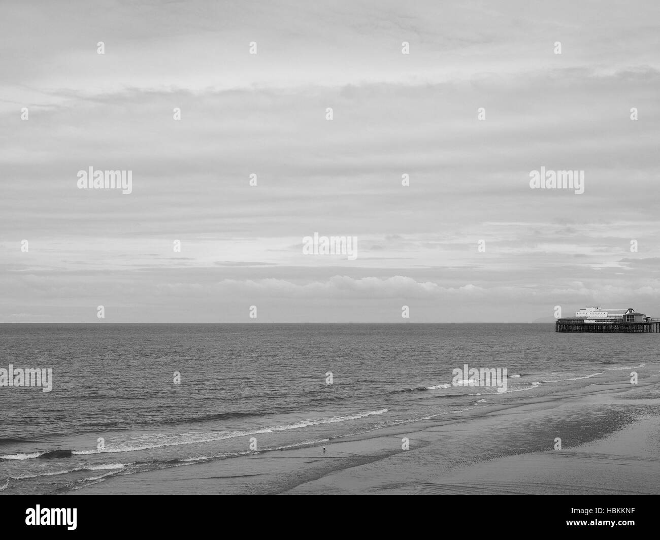 Sea beach shore Stock Photo - Alamy