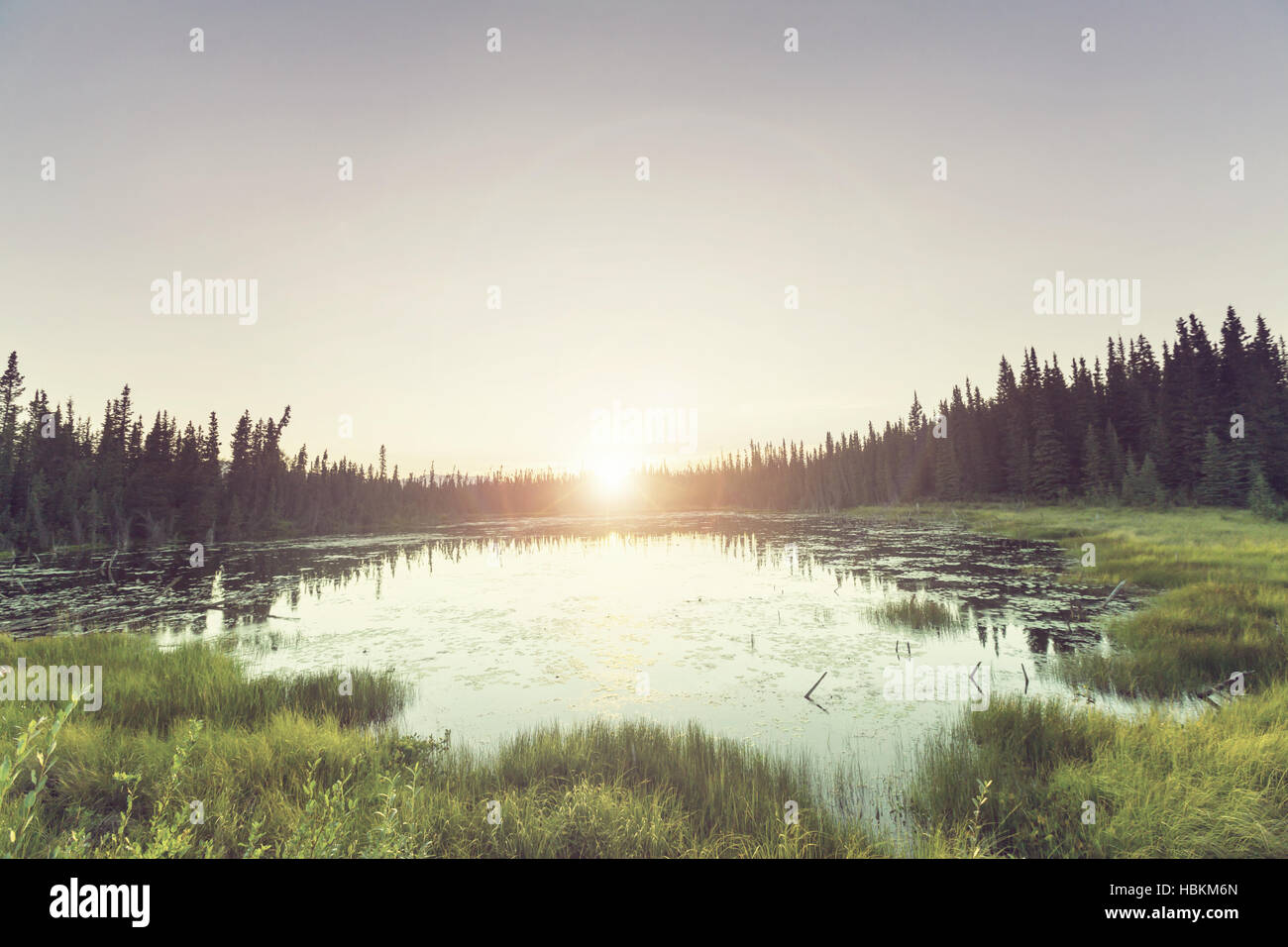Lake in Alaska Stock Photo - Alamy