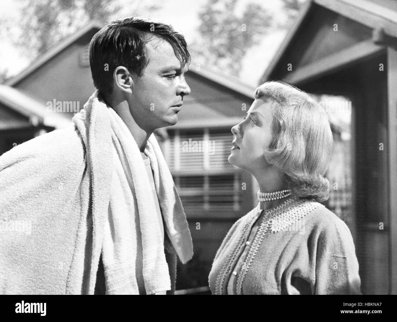 CHAMP FOR A DAY, from left: Alex Nicol, Audrey Totter, 1953 Stock Photo ...