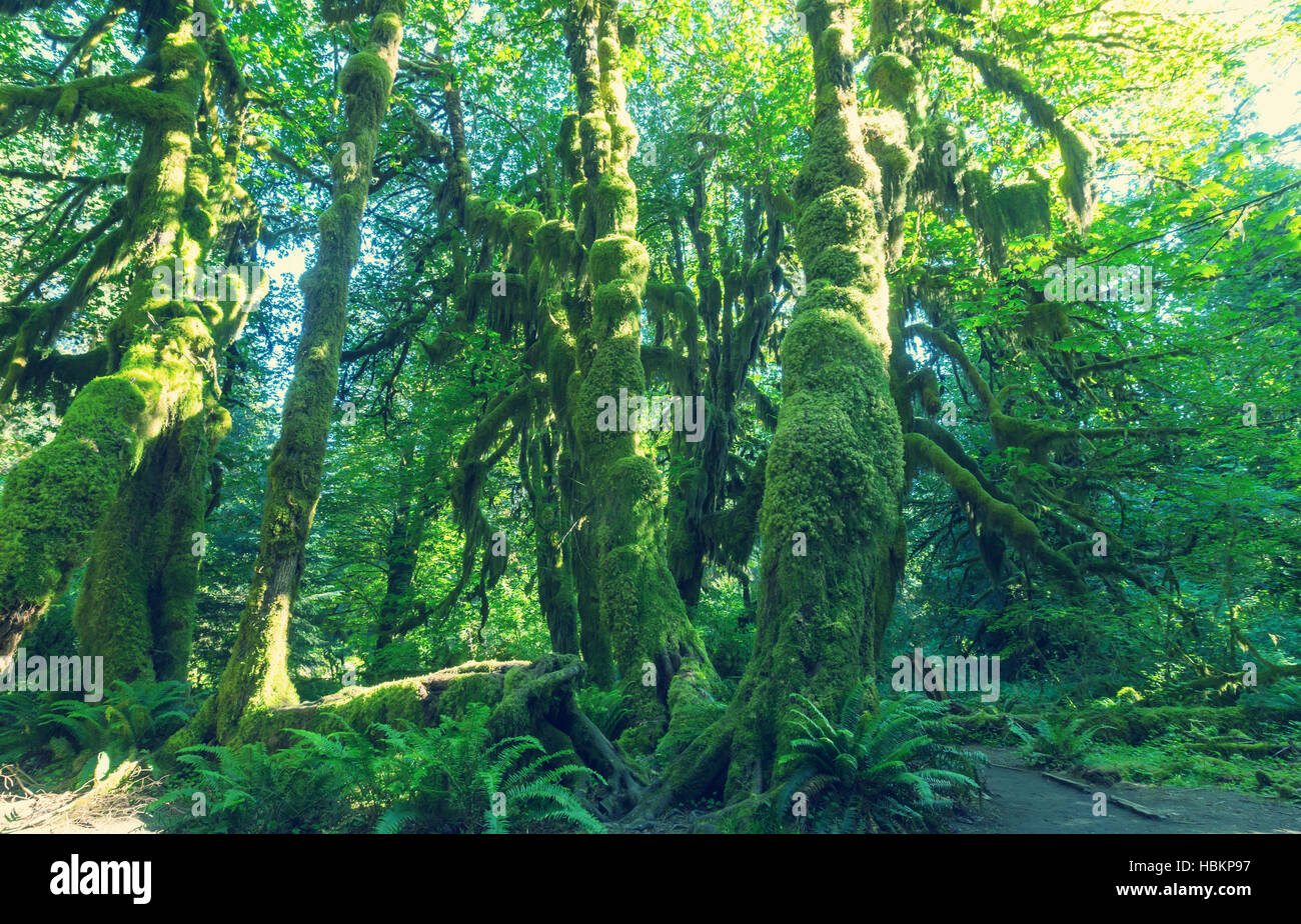 Unusual magic autumn landscape hi-res stock photography and images - Alamy