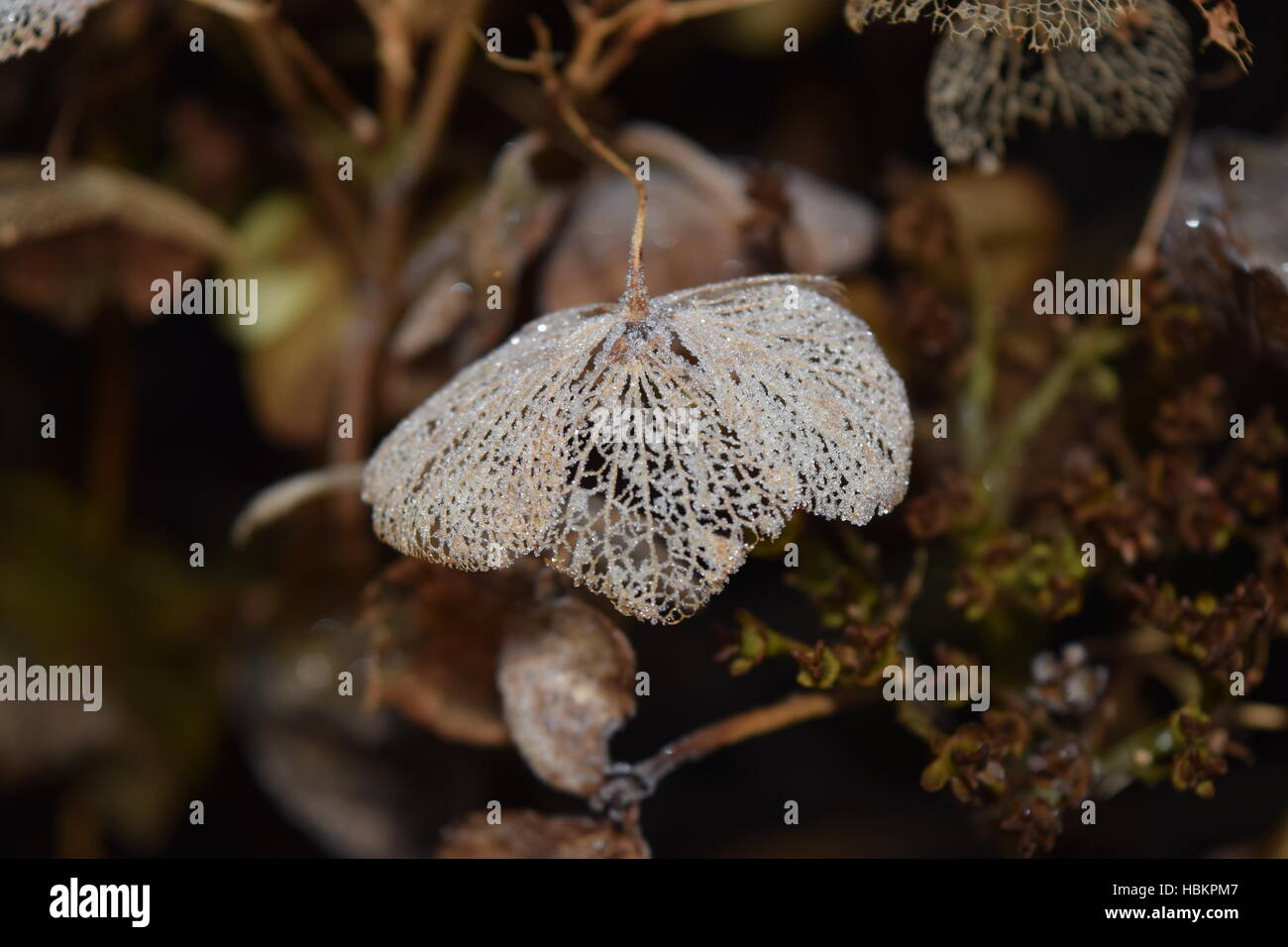 Time morning hi-res stock photography and images - Alamy