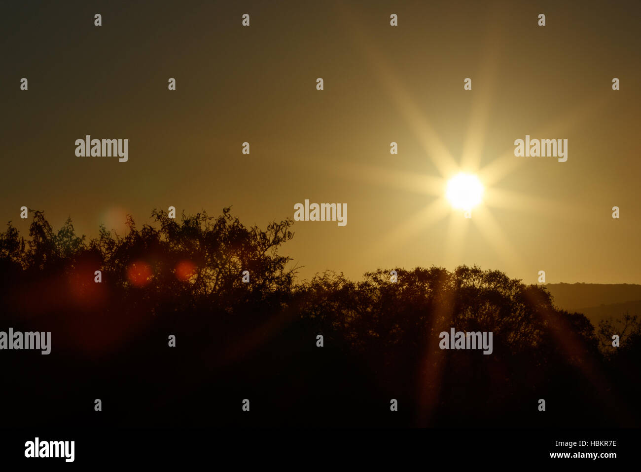 Sun flare in nature hi-res stock photography and images - Alamy