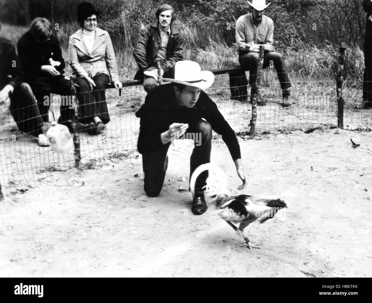 COCKFIGHTER, (aka BORN TO KILL, GAMBLIN' MAN, WILD DRIFTER), Warren ...