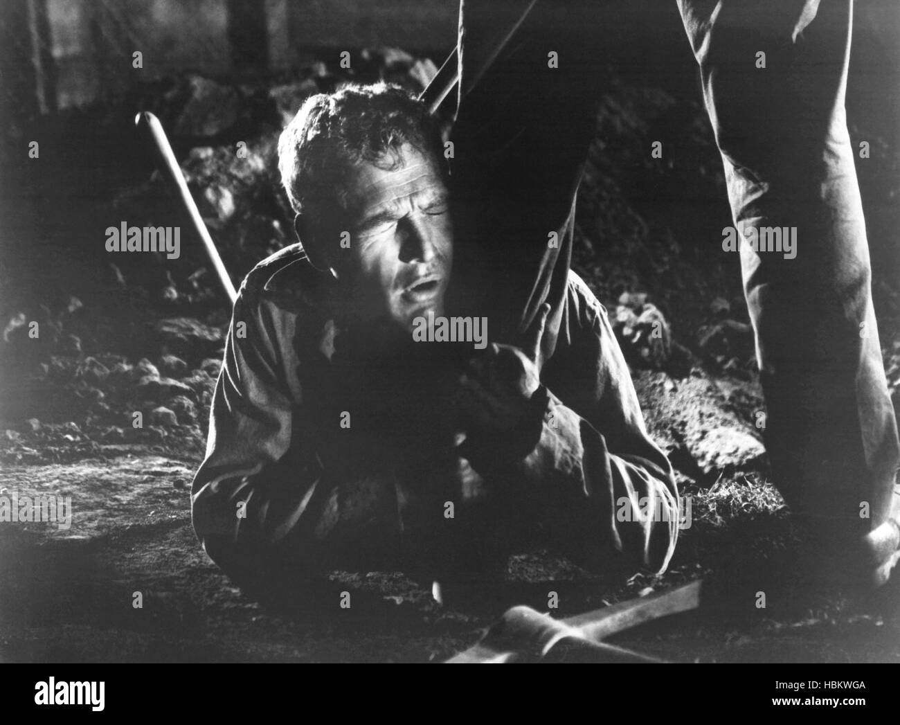 COOL HAND LUKE, Paul Newman, 1967 Stock Photo - Alamy