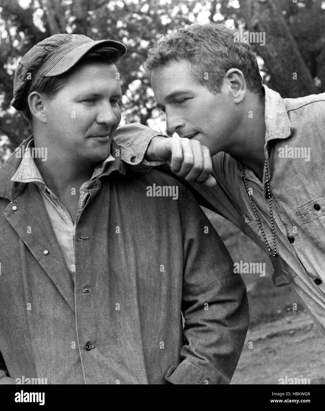 COOL HAND LUKE, source novelist and technical advisor Donn Pearce, Paul ...