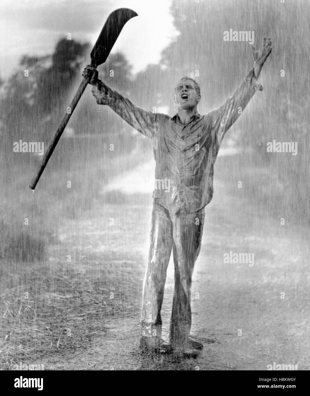 COOL HAND LUKE, Paul Newman , 1967 Stock Photo - Alamy