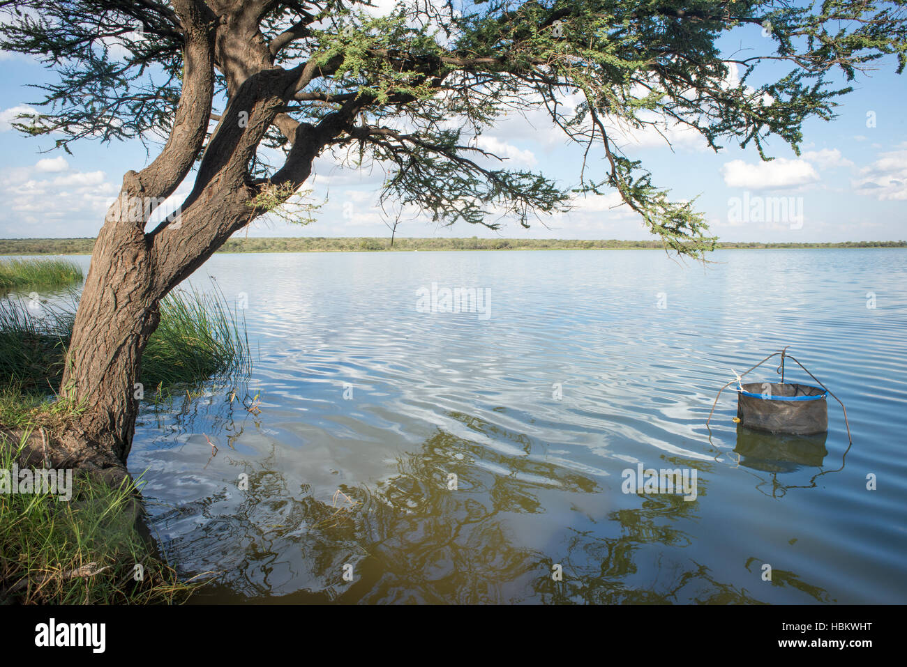 Fishing Pen in Water by Tree Stock Photo - Alamy