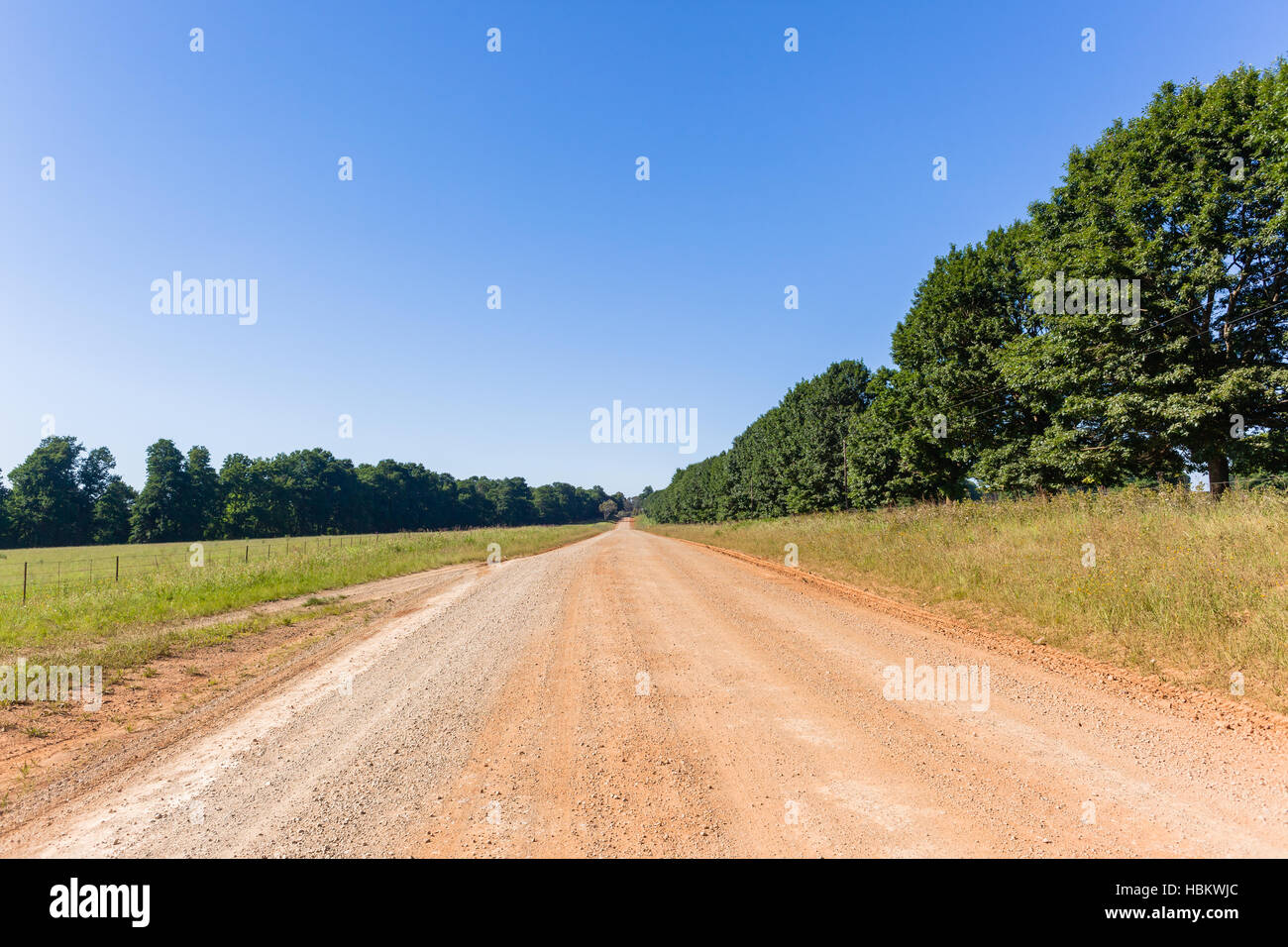 Dirt road route straight through trees scenic rural mountain terrain ...