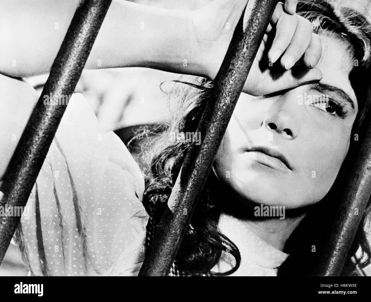 THE CRANES ARE FLYING, (aka LETYA ZHURAVLI), Tatyana Samoylova, 1957 ...