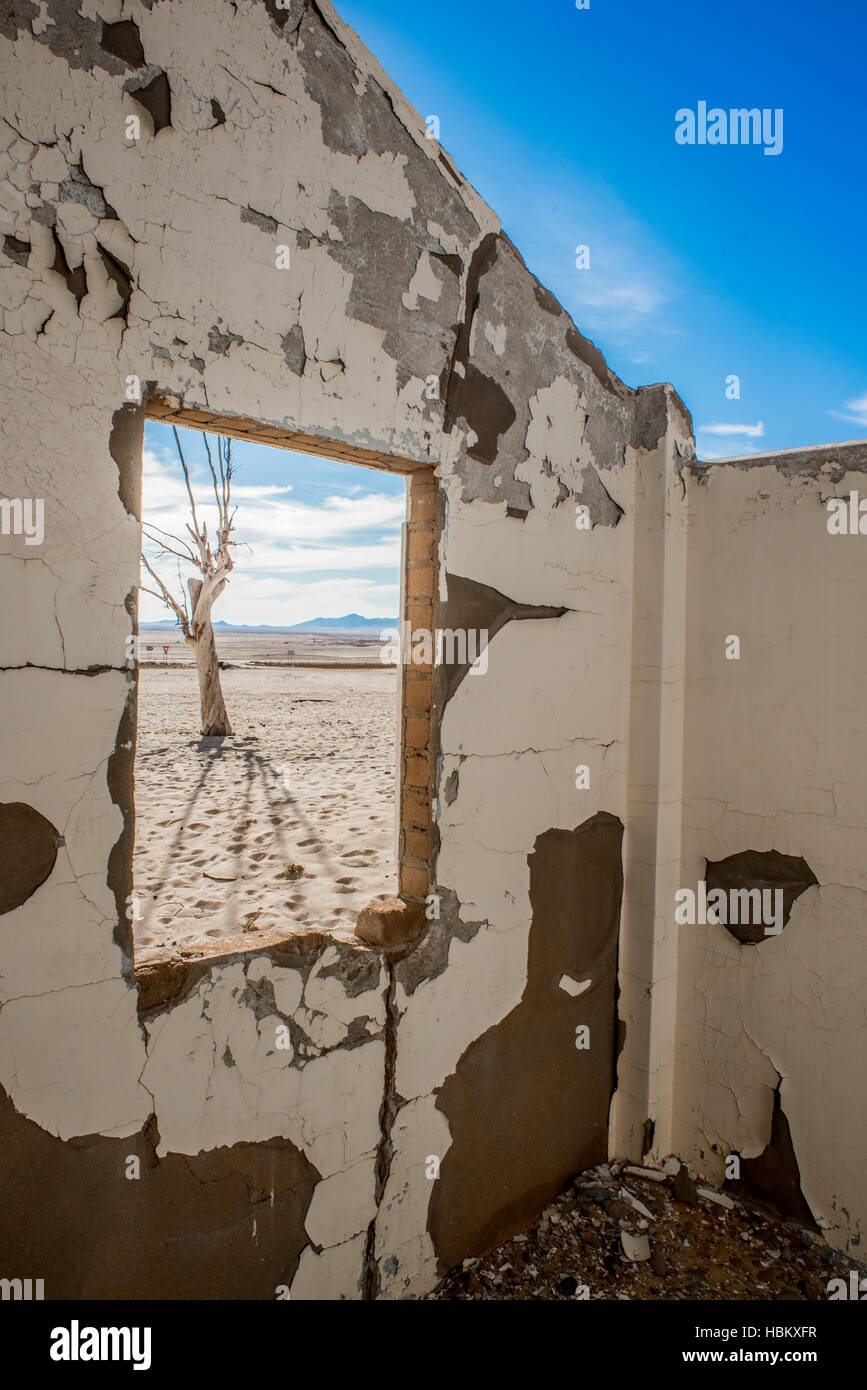 Dead tree through broken window Stock Photo - Alamy