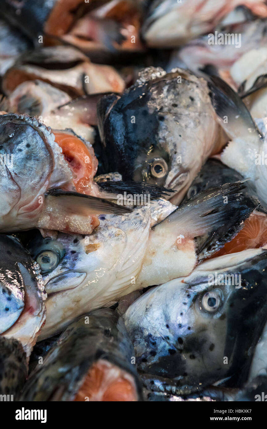 Fish stall st georges market hi-res stock photography and images - Alamy