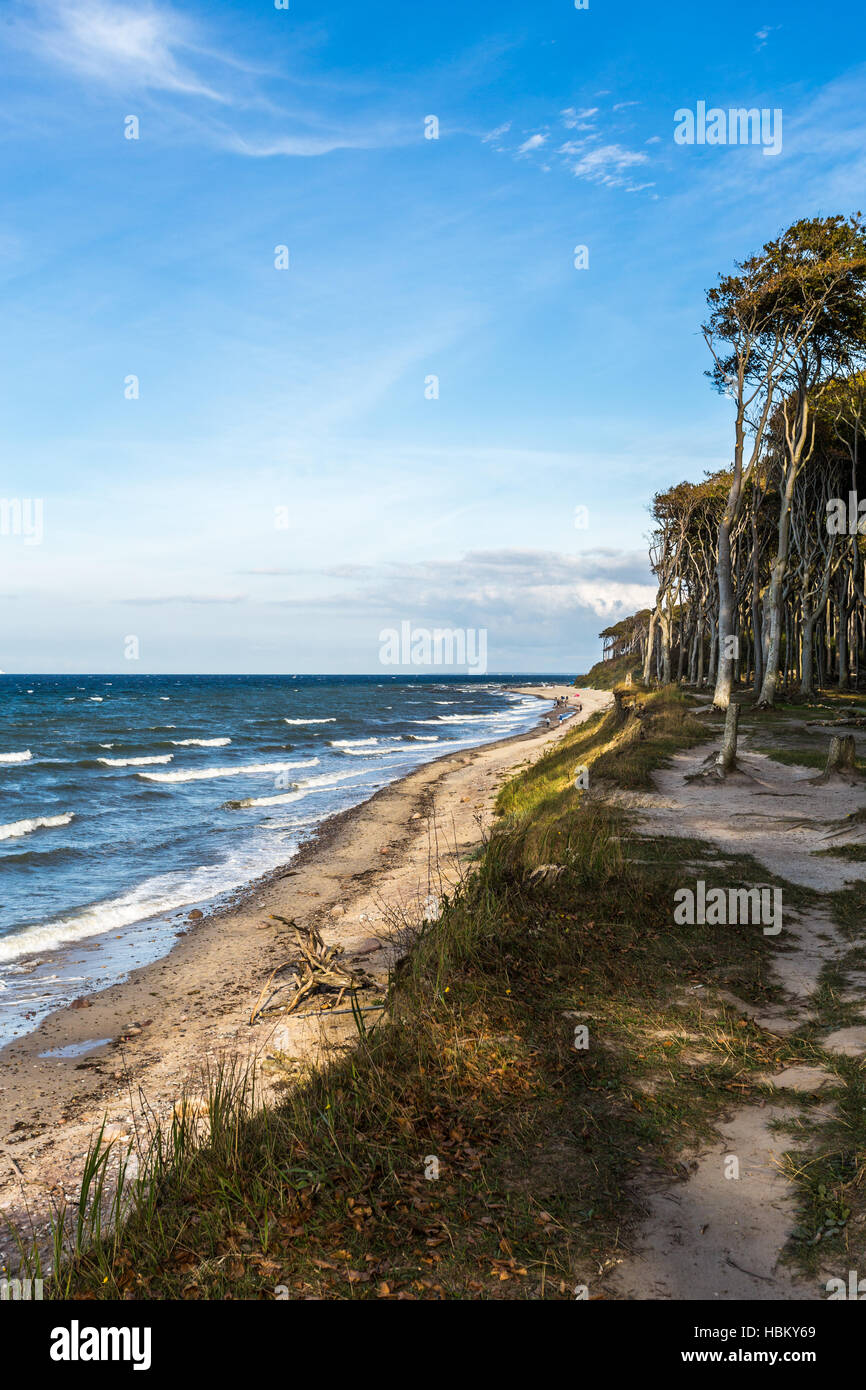 baltic beach germany Stock Photo - Alamy
