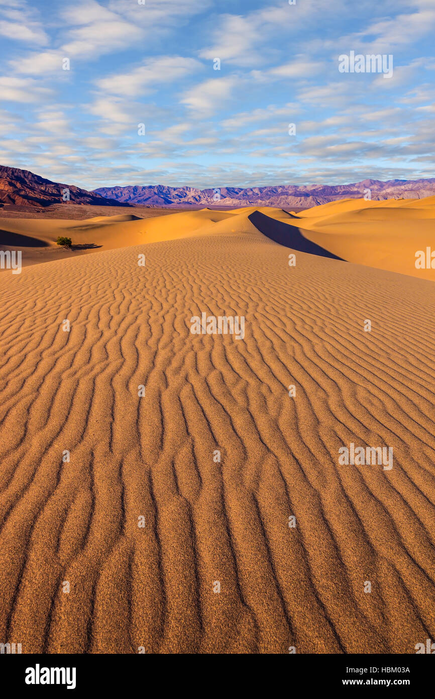 Thin sand hi-res stock photography and images - Alamy