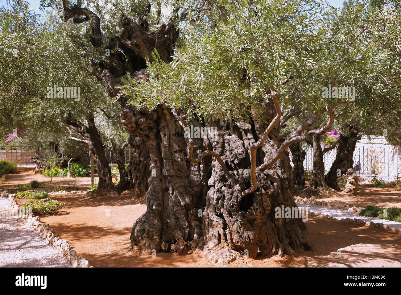 Place of prayer of Jesus Stock Photo - Alamy