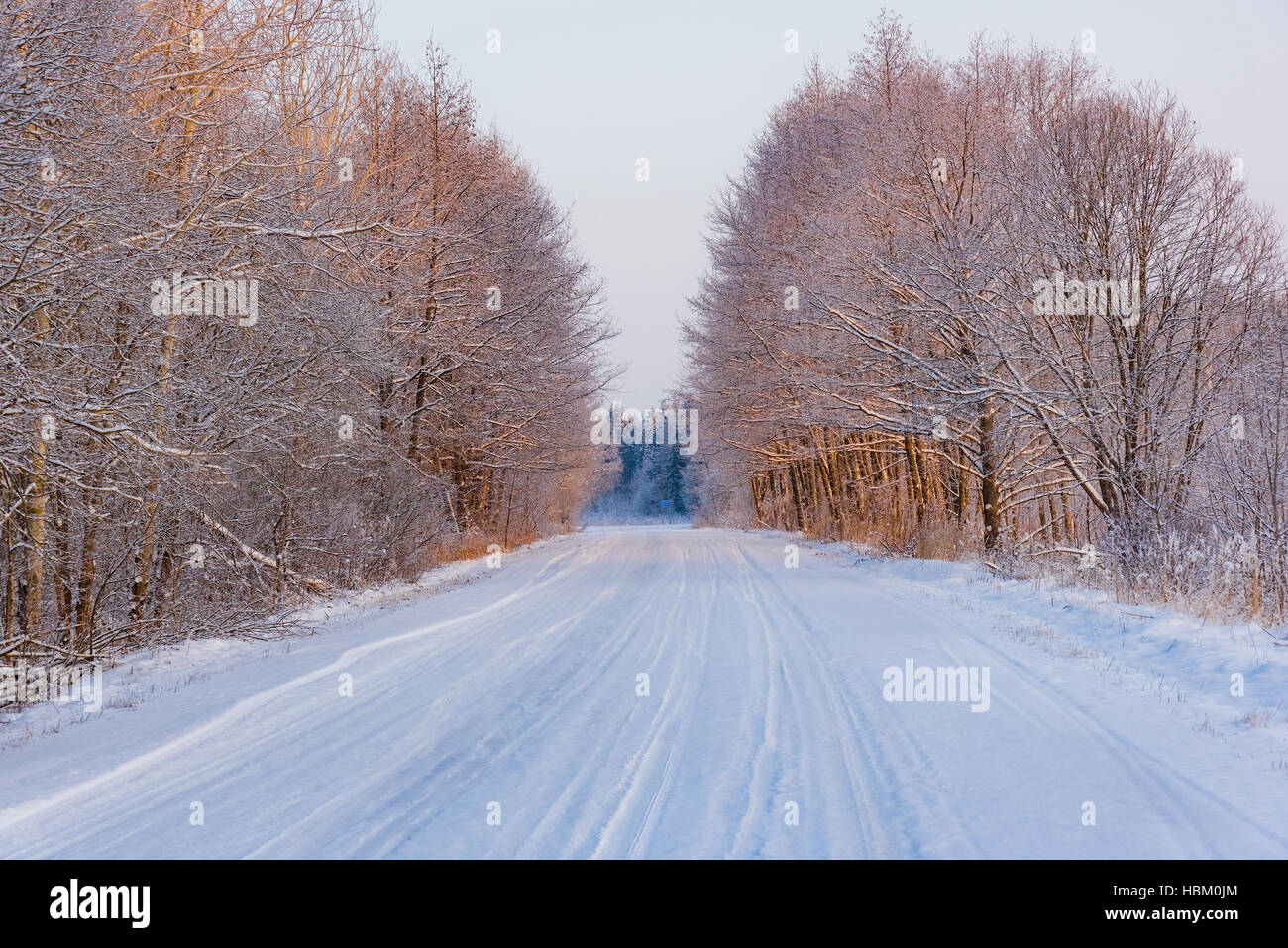winter road in the woods Stock Photo - Alamy