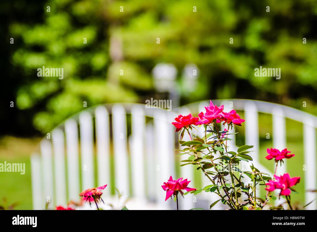 white steel bridge over gasden pond Stock Photo - Alamy